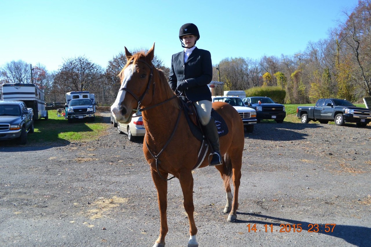 About Us – Topline Equestrian Center