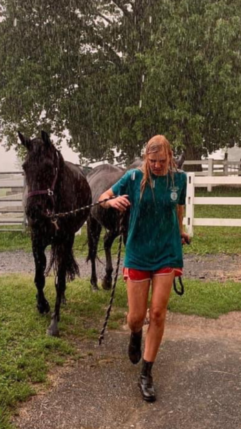 Topline Equestrian Center – Training and Horse Boarding in Frederick ...